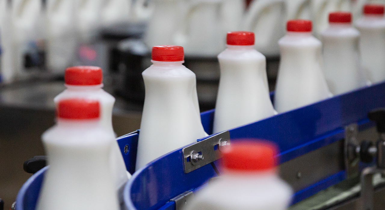 Milk Production Plant in Nicosia